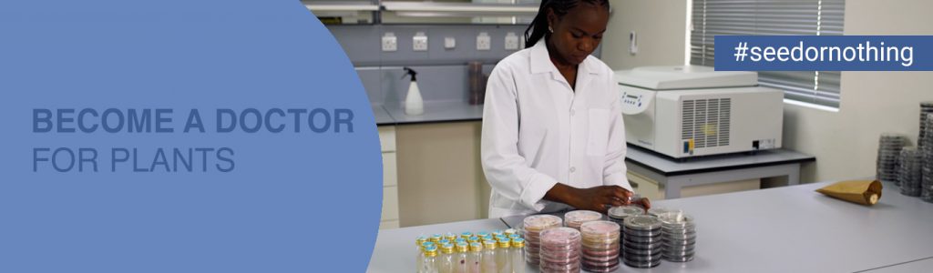 A Doctor for Plants: Become a Plant Pathologist – SANSOR